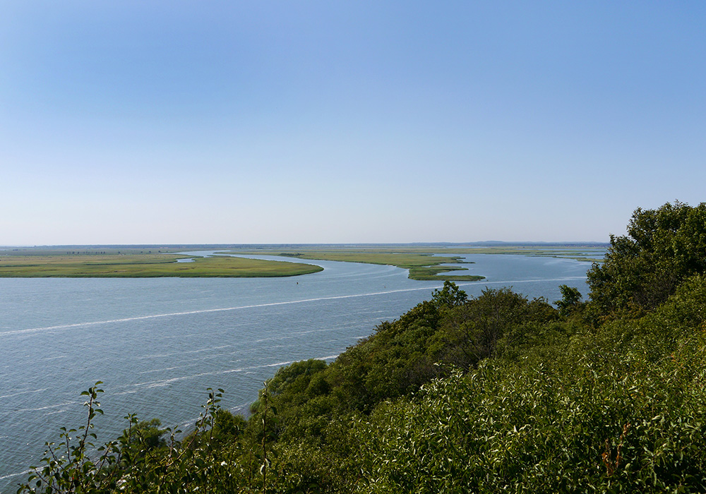 Returning life in the Oder delta [Northern Europe] – Rewilding Successes