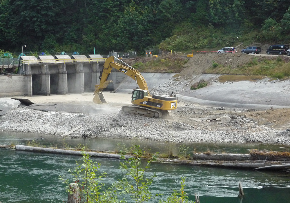 The Elwha story [Western USA] – Rewilding Successes
