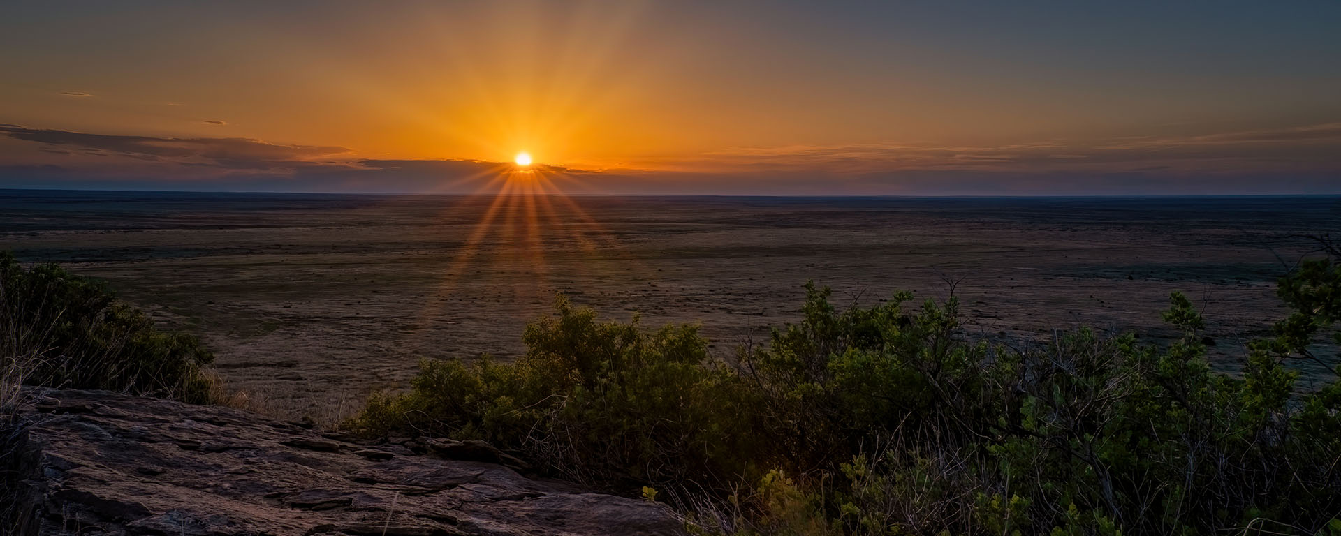 Rewilding the southern Great Plains [Western USA] – Rewilding Successes