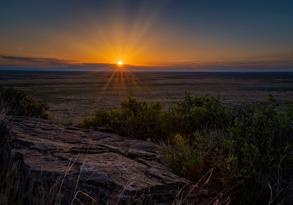 Rewilding the southern Great Plains [Western USA] – Rewilding Successes