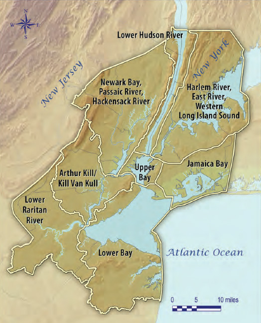 Life’s revival in a natural harbor [Northeast USA] – Rewilding Successes