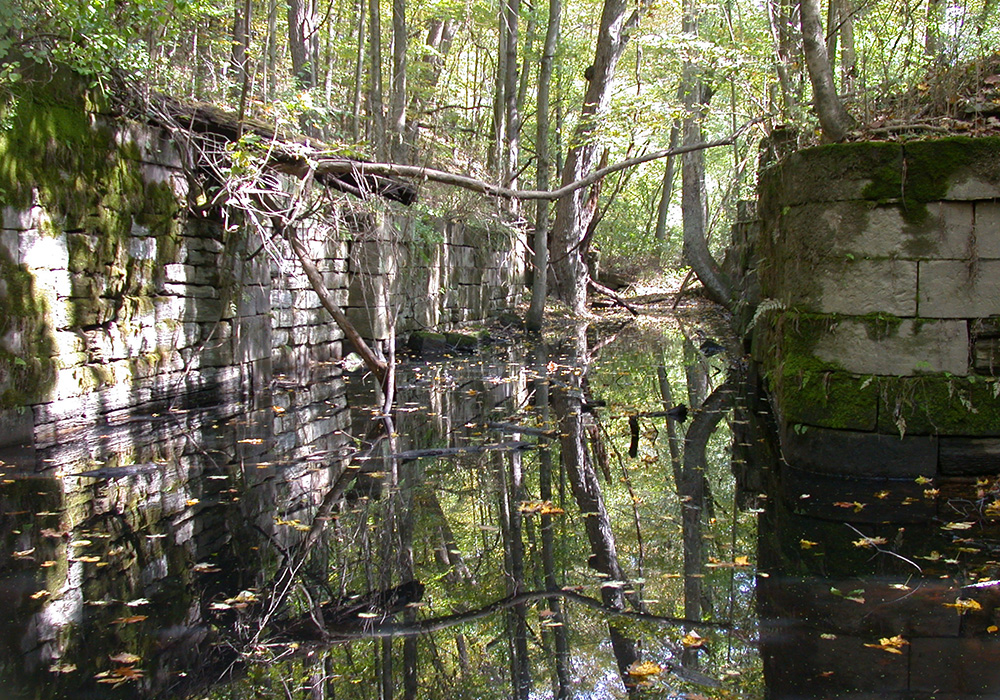 Rewilding itself: the Union Canal [Northeast USA] – Rewilding Successes