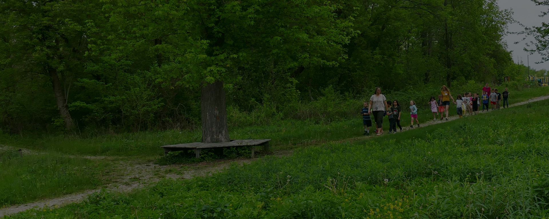 Rewilding ourselves: A project of hope [Midwest USA] – Rewilding Successes