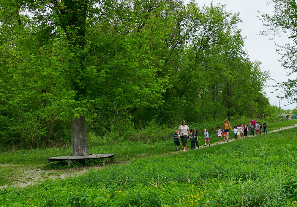 Rewilding ourselves: A project of hope [Midwest USA] – Rewilding Successes